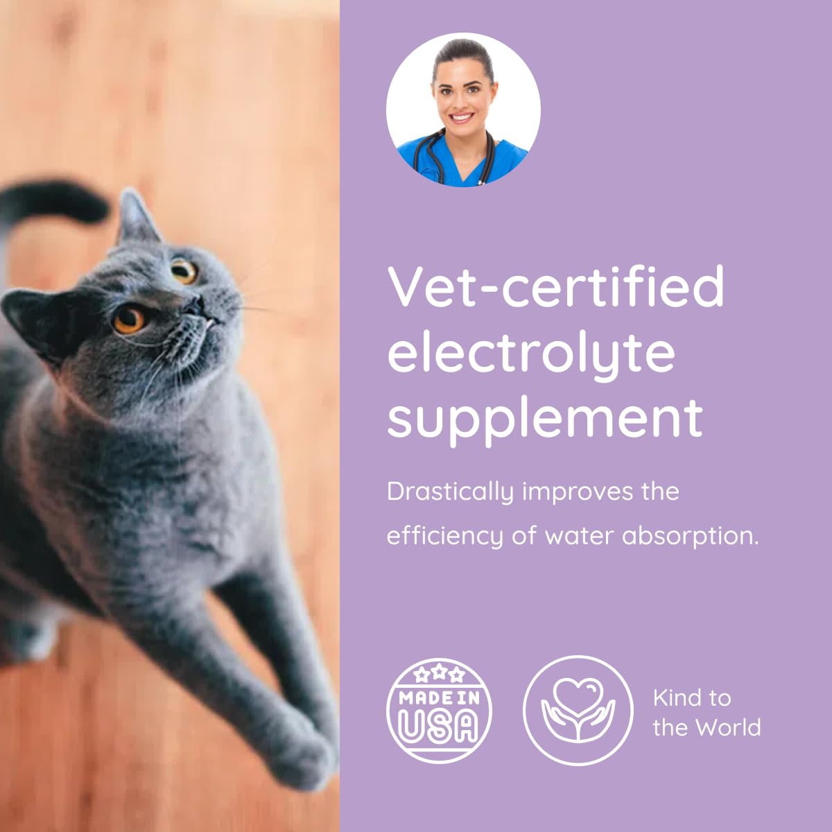Petralyte Cat Hydration Electrolyte and Cat Joint Supplement | Glucosamine, Chondroitin & MSM for Immunity and Mobility with L-Glutamine, Taurine, Lysine & Prebiotics | Tuna & Salmon | 8 Packets