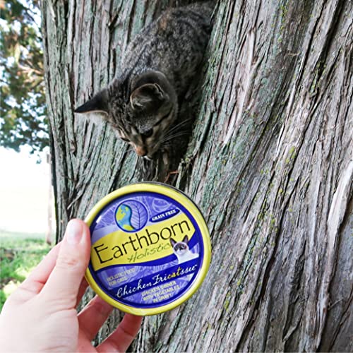 Earthborn Holistic Chicken Fricatssee Grain-Free Moist Cat Food Purple 24 Count (Pack of 1)