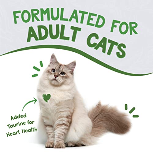 Earthborn Holistic Chicken Catcciatori Grain-Free Moist Cat Food 3 Ounce (Pack of 24)