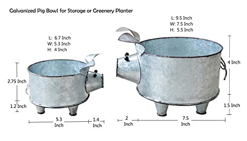 ShabbyDecor Galvanized Metal Pig Bowl Farmhouse Pig Succulent Planter Set of 2