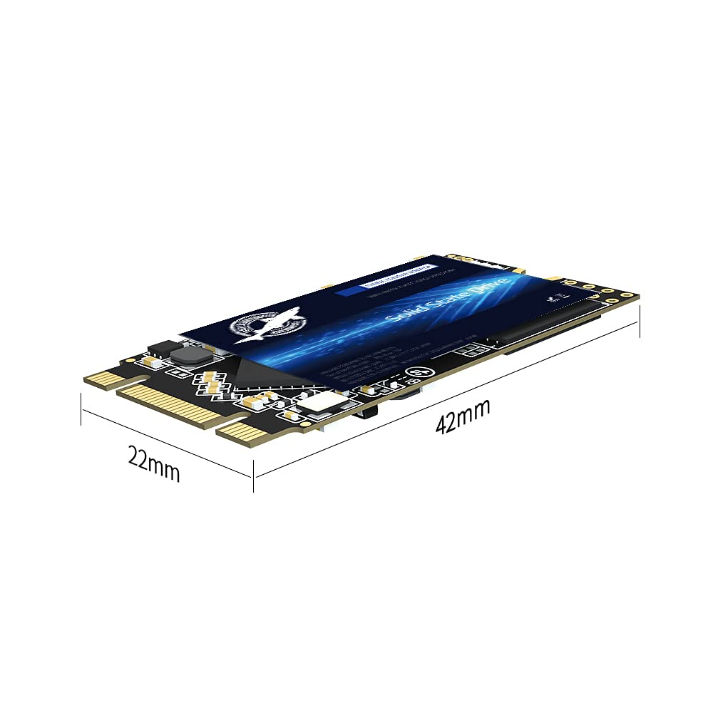 SSD 1 TB m.2 2242 Dogfish S?ido Height PC Unit?a Stato Solido Integrata Interno MLC Desktop Laptop Hard Drive Disk m2(1TB M.2 2242)
