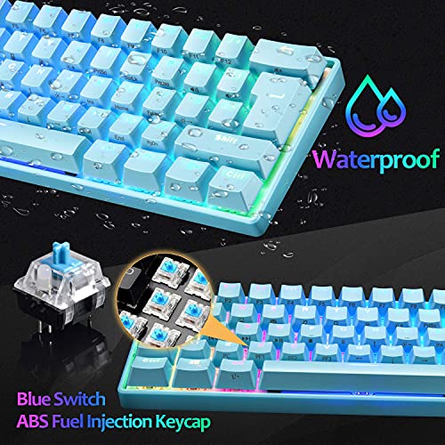 60% Mechanical Gaming Keyboard Mini Portable with RGB Backlit Full Anti-Ghosting 61 Key Ergonomic Metal Plate Wired Type-C USB Waterproof for Typist Laptop PC Mac Gamer(Blue Keycap/Blue Switch)