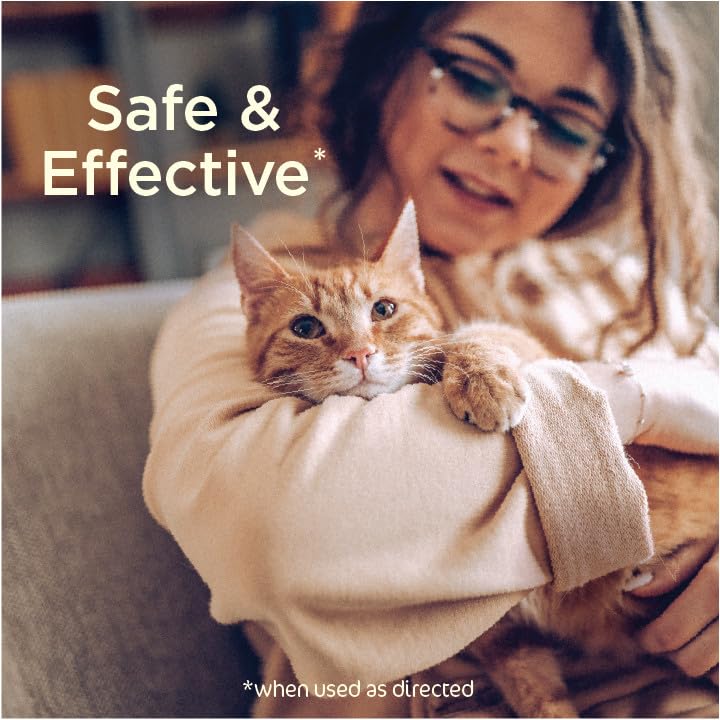 SimpleSourceĀ® Flea & Tick Shampoo for Cats, Powered by Plants, Kills Fleas, Flea Eggs, Flea Larvae, Ticks, & Mosquitos, Cleans & Deodorizes, 12oz Bottle