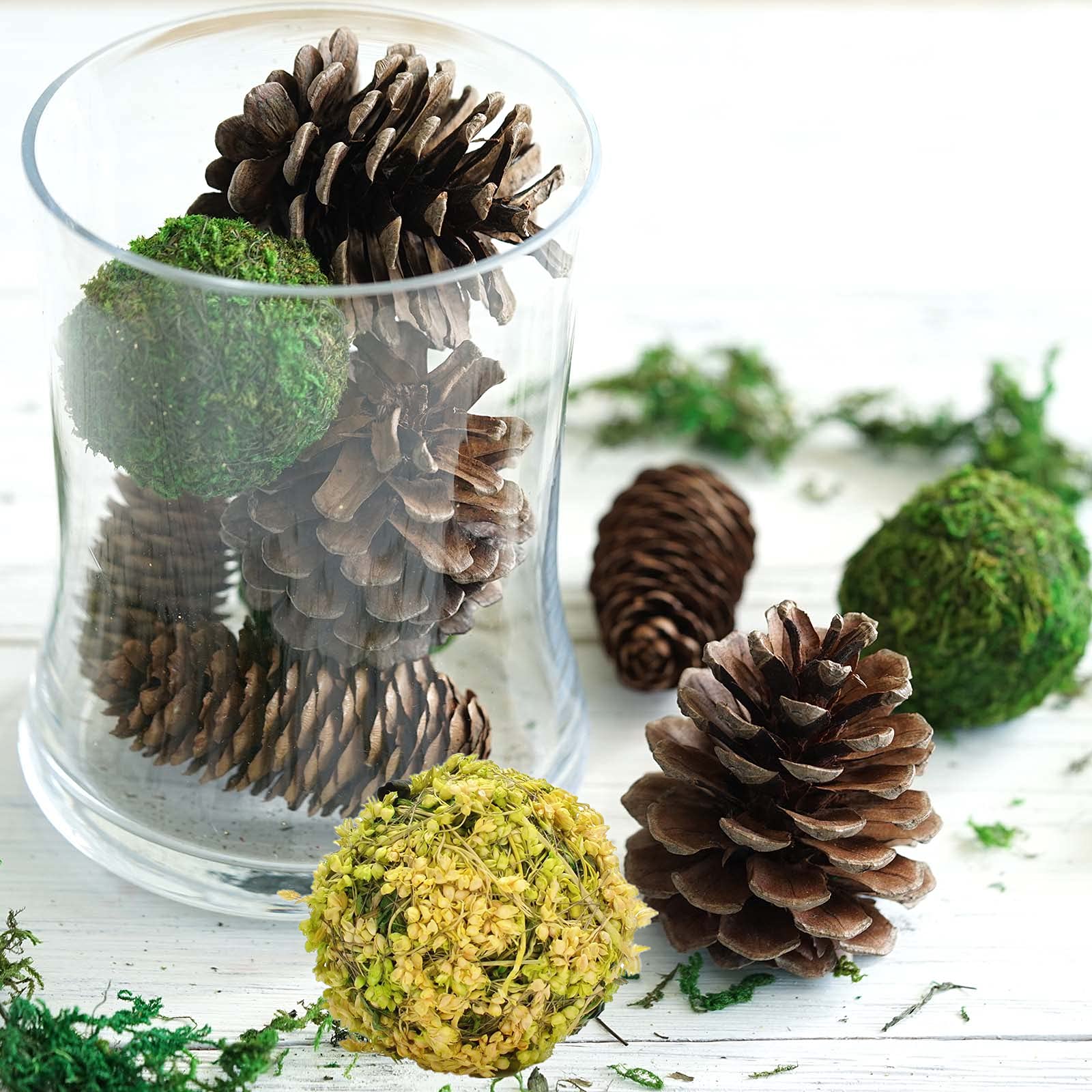 BYHER Natural Preserved Moss Hanging Ball Vase Bowl Filler for Garden, Wedding, Party Decoration (3.5"(6 Pack), Green)