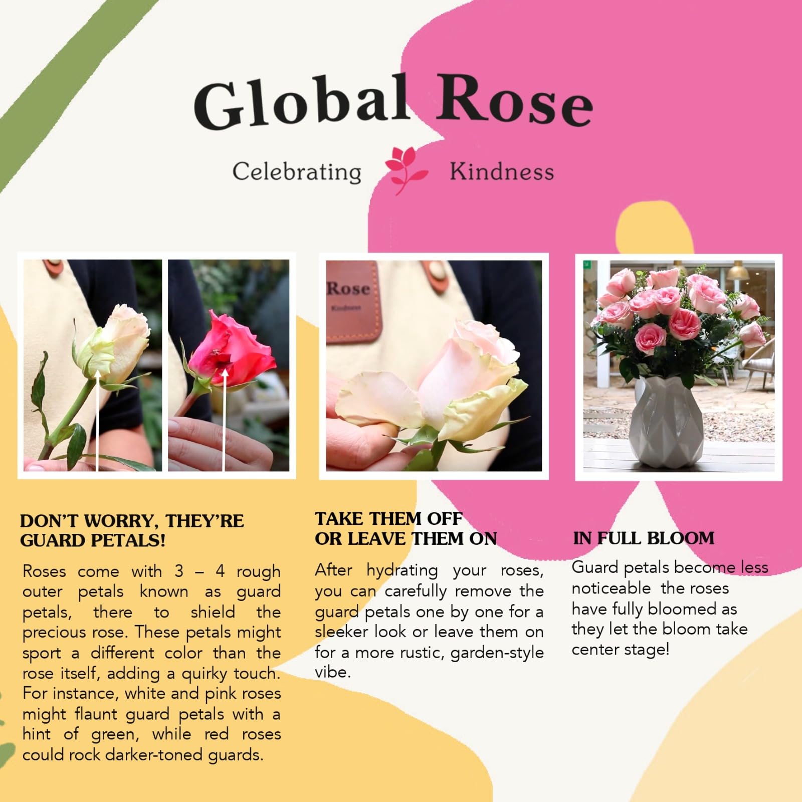 50 Red Roses- Fresh Cut Flowers- Beautiful Long Stems