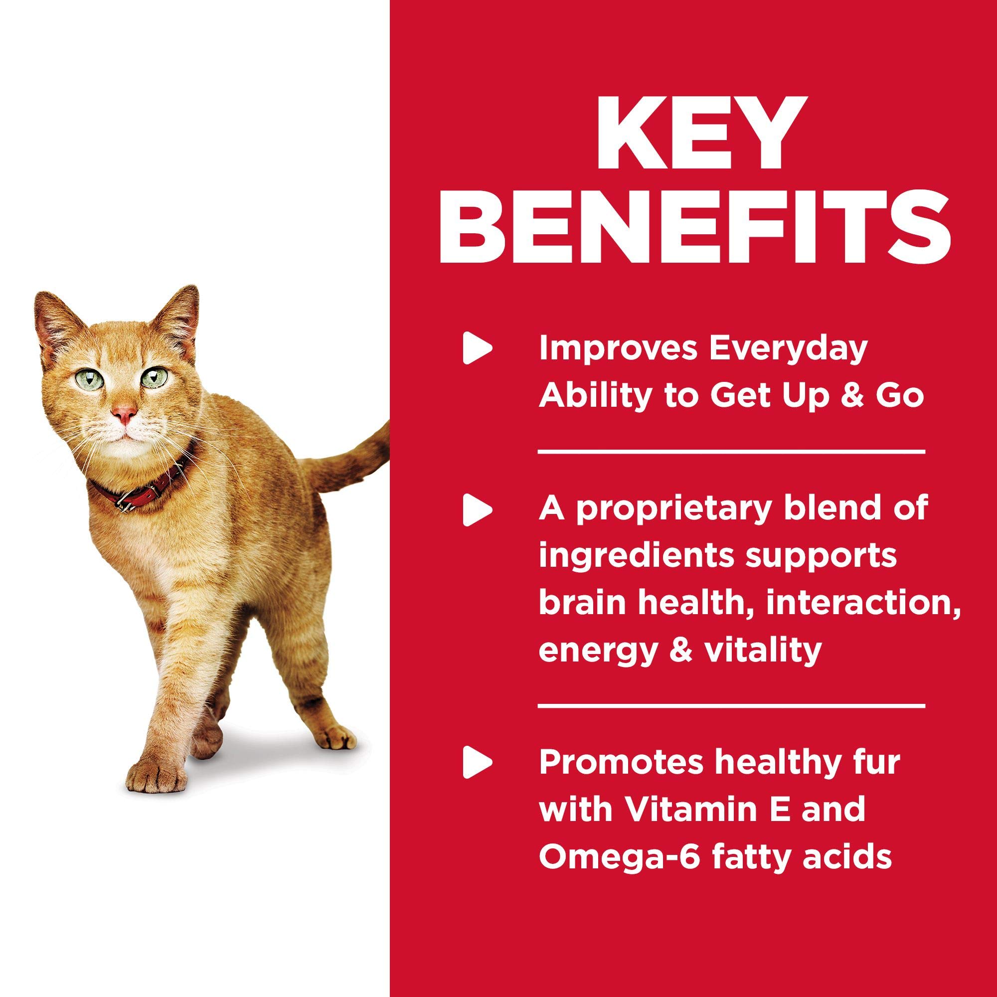 Hill's Science Diet Adult 7+ Senior Vitality Dry Cat Food, 6 lb. Bag