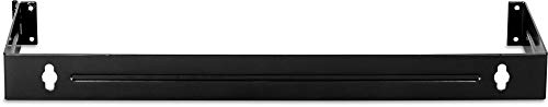 TRENDnet 1U 19-inch Hinged Wall Mount Bracket for Patch Panels and PDU Power Strips, TC-WP1U, Supports EIA-310, Steel Construction,Use TC-P24C6 & TC-P16C6 Patch Panels(Sold Separately)