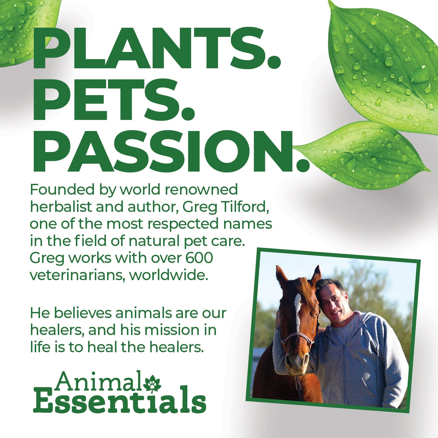 Animal Essentials Daily Digestion for Dogs & Cats - Digestive Support, Fresh Breath, Ginger Root, Fennel Seed Extract, Liquid Supplement - 2 Fl Oz