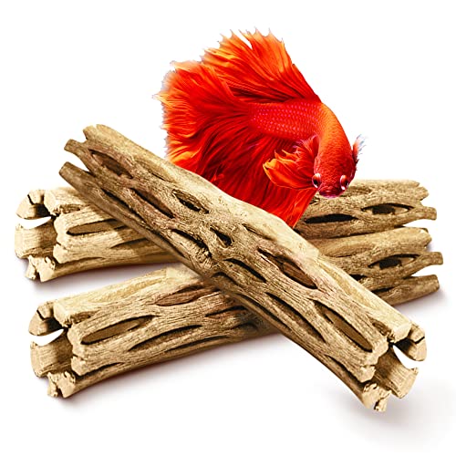 SunGrow Cholla Wood for Betta Fish, 5-Inches Long, Encourage Exercise, Create Basking Spot for Tropical Fish, Creative Addition to Home Crafts, Great Accent Piece, 3-Pcs