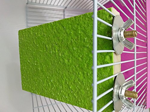 Hypeety Colorful Bird Perch Stand Platform for Parrot Macaw African Greys Budgies Parakeet Cockatiels Natural Wood Paw Grinding Clean Cage Toy (Random Color)(B)