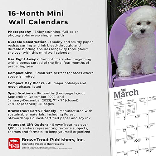 Bichon Frise Puppies | 2023 7 x 14 Inch Monthly Mini Wall Calendar | BrownTrout | Animals Dog Breeds Puppy DogDays