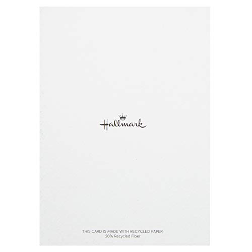 Hallmark Boxed Christmas Cards Assortment, Peace Hope Joy (48 Cards with Envelopes) (1XPX5176)