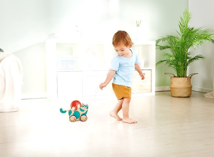Hape Wooden Walk-A-Long Kitten Pull Toy| Roll & Rattle Push Pull Toy for Toddler| Montessori Toys for Walking Toddlers, Green