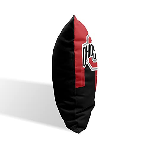 The Ohio State Buckeyes Skyline Throw Pillow | Personalized | Custom