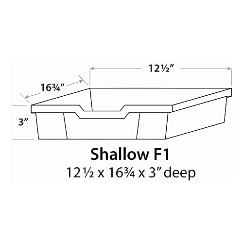 Gratnells Shallow F1 Storage Tray, Pack of 8, Heavy Duty School, Industrial & Utility Storage Bins, 12.3" x 16.8" x 3" (Translucent)