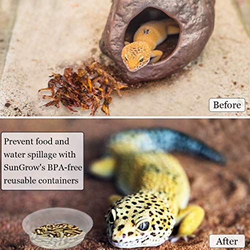 SunGrow Gecko Food and Water Containers, Reusable, Recyclable, Disposable Cups, 0.5 oz Capacity Plastic Transparent Dishes, Fits Various Reptile Feeder, 1.6โ Diameter, 0.6โ Depth, 100 Pcs