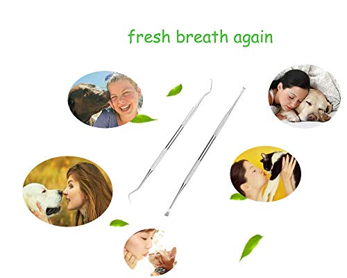 wzhe Dog Tooth Scaler and Scraper - 2 Pack Upgrade Pet Tarter Remover with Different Angles Double Head, Stainless Steel Teeth Cleaning Tools for Dogs