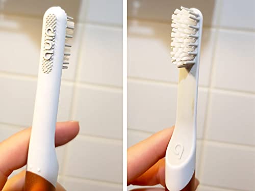 quip Toothbrush Electric Head Replacement