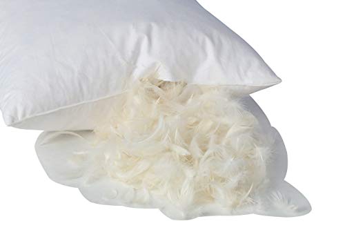 L' COZEE Premium Feather and Down Pillow Insert, Decorative Throw Stuffer Inserts, Hypoallergenic, Cotton Cover, White (17x17)'