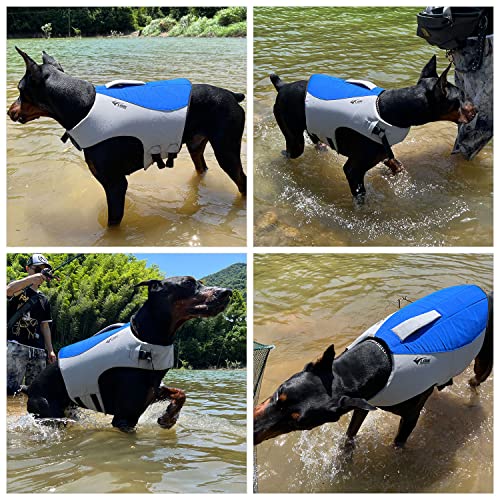 Dog Life Jacket, Sport Style Dog Float Coat with Excellent Buoyancy, Stylish Dog Swimming Safety Vest with Rescue Handle for Small Medium Large Dogs Blue M