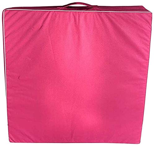 5 Star TD Gymnastics Bar Horizontal Kip Bar w 2x6 Tri Fold Mat Junior Training Adjustable Height Jungle Gym Children Training Monkey Bars Climbing Tower Playground Balance Bar Gymnasts (Purple)