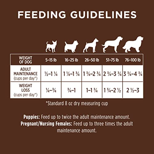 Instinct Be Natural Real Chicken & Brown Rice Recipe Natural Dry Dog Food, 25 lb. Bag