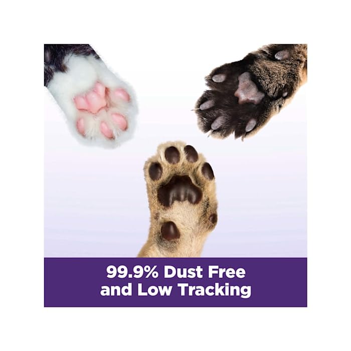 Arm & Hammer Slide Cat Litter - Clumping Multi-Cat, 38 lbs.