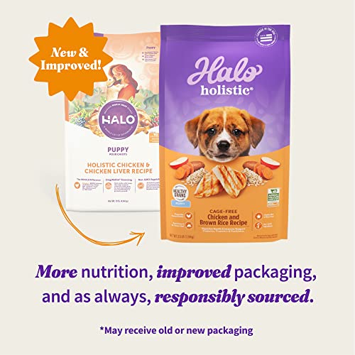 Halo Puppy Dry Dog Food, Chicken & Liver 4-Pound Bag