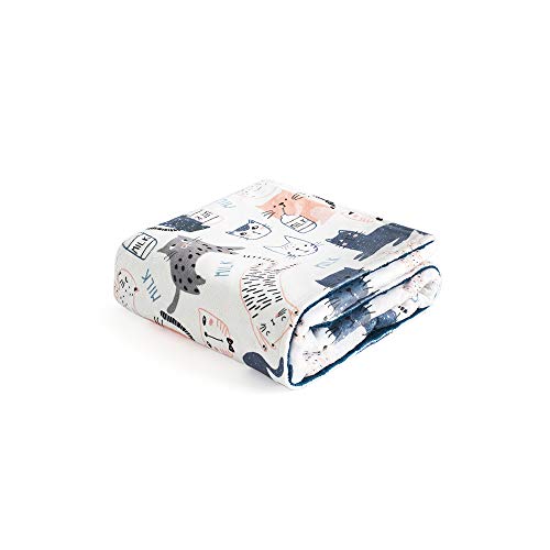 Hofasiii Unisex Boy Girl Lightweight Comfortable Super Soft Plush Minky Baby Blanket in 30ββx40ββ ,Newborn Receiving Baby Cat Blankets with Dotted Backing