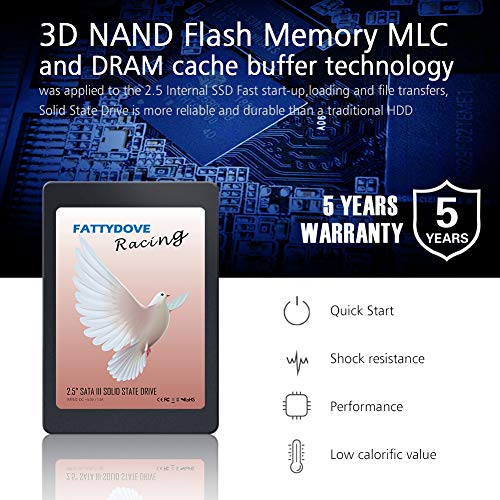 FATTYDOVE 2.5 inch SSD 120GB Internal Solid State Drive SATA3 SSD Drive 2.5 inch 6Gb/s for PC/Laptop with SATA III Cable (120GB SSD Drive)