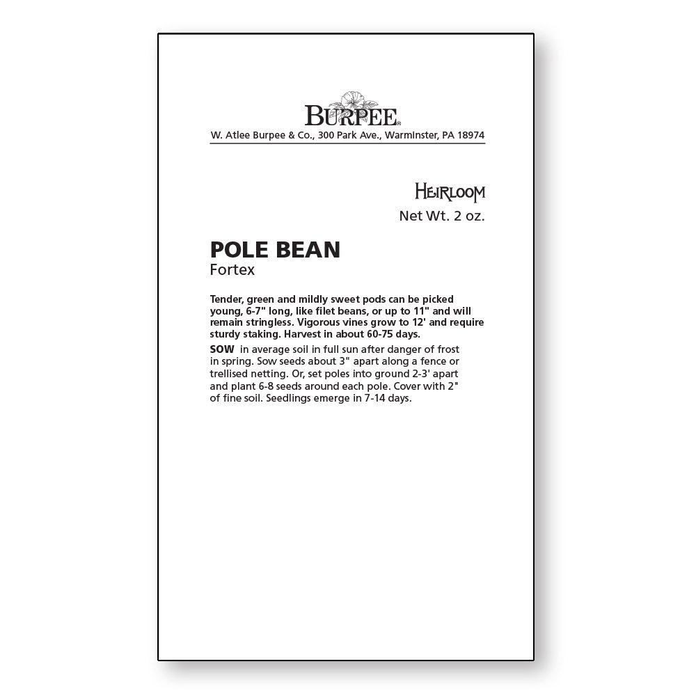 Burpee Fortex Pole Bean Seeds 2 ounces of seed