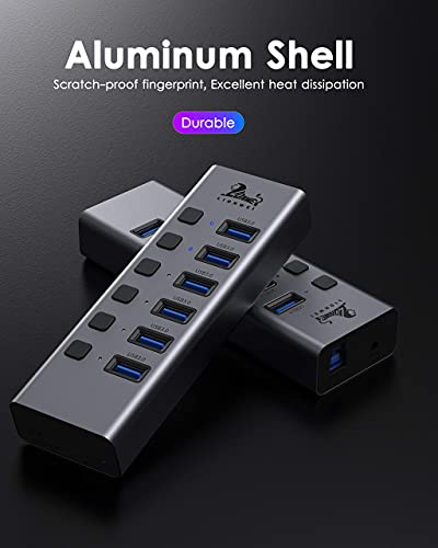 LIONWEI Universal 8-Port Powered USB 3.0/USB C Hub, Aluminum USB Splitter with 6 USB 3.0 Data Ports, SD/TF Card Readers, On/Off Power Switches, AC Adapter