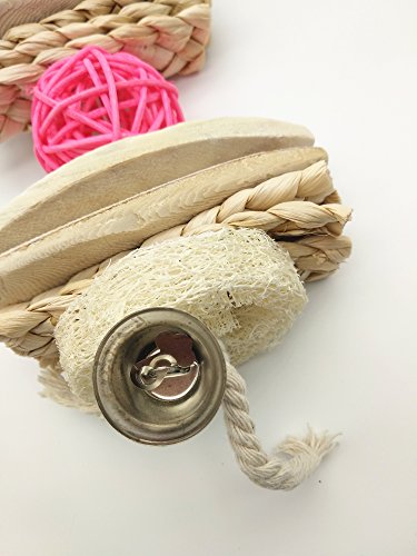 Hypeety Bird Parrot Cuttlebone Toy Bird Chew Toy Colorful Rattan Ball Toy Safe and Fun for African Grey, Amazon Conure Cockatoo Macaw Cockatiel