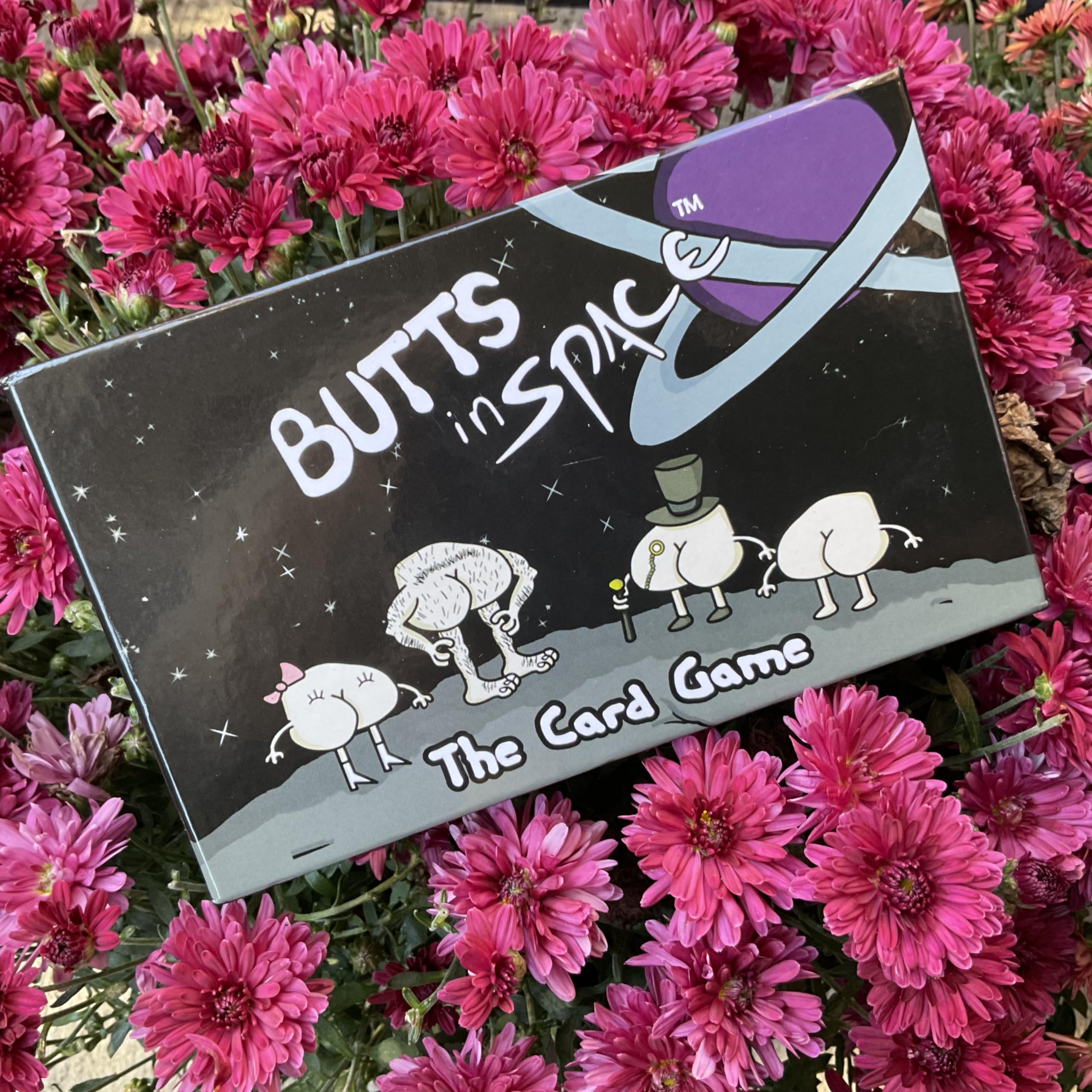 Butts in Space: The Card Game - Fun Gift for Families, Kids Ages 8-12, Teens, Grandmas, Grandpas, and Old Maids