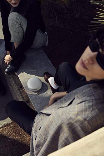 Bang & Olufsen Beosound A1 (2nd Generation) Wireless Portable Waterproof Bluetooth Speaker with Microphone, Grey Mist