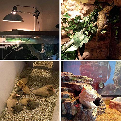 OMAYKEY 50W 2 Pack Basking Spot Heat Lamp Bulb Soft White Glow UVA Glass Cover Heat Lamp/Bulb/Light for Lizard Chameleon Bearded Dragon Snake Aquarium Reptile & Amphibian