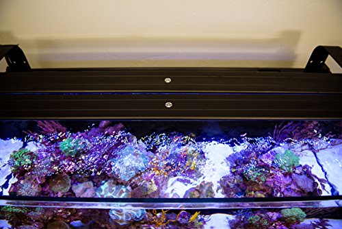 Current USA 4227 Orbit Marine IC PRO LED Reef Aquarium Dual Light System with Wireless Loop, 48"
