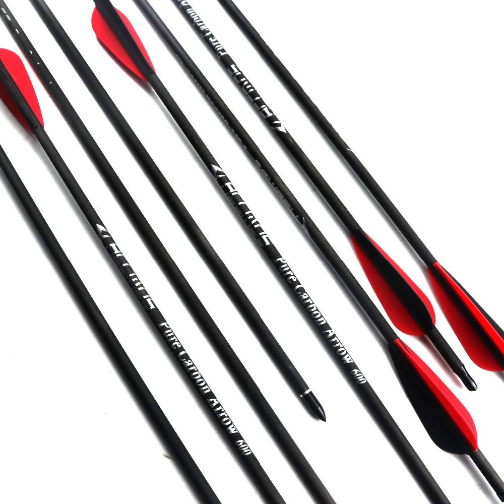 31" Arrows 800 Spine Arrows for Compound Bows ID 6.2 mm 28.5/29/30 Inch Replaceable Tip Carbon Arrow for 10/15/20/25/30/35/40 Lbs Recurve Bow Longbow Archery Hunting Target Practice