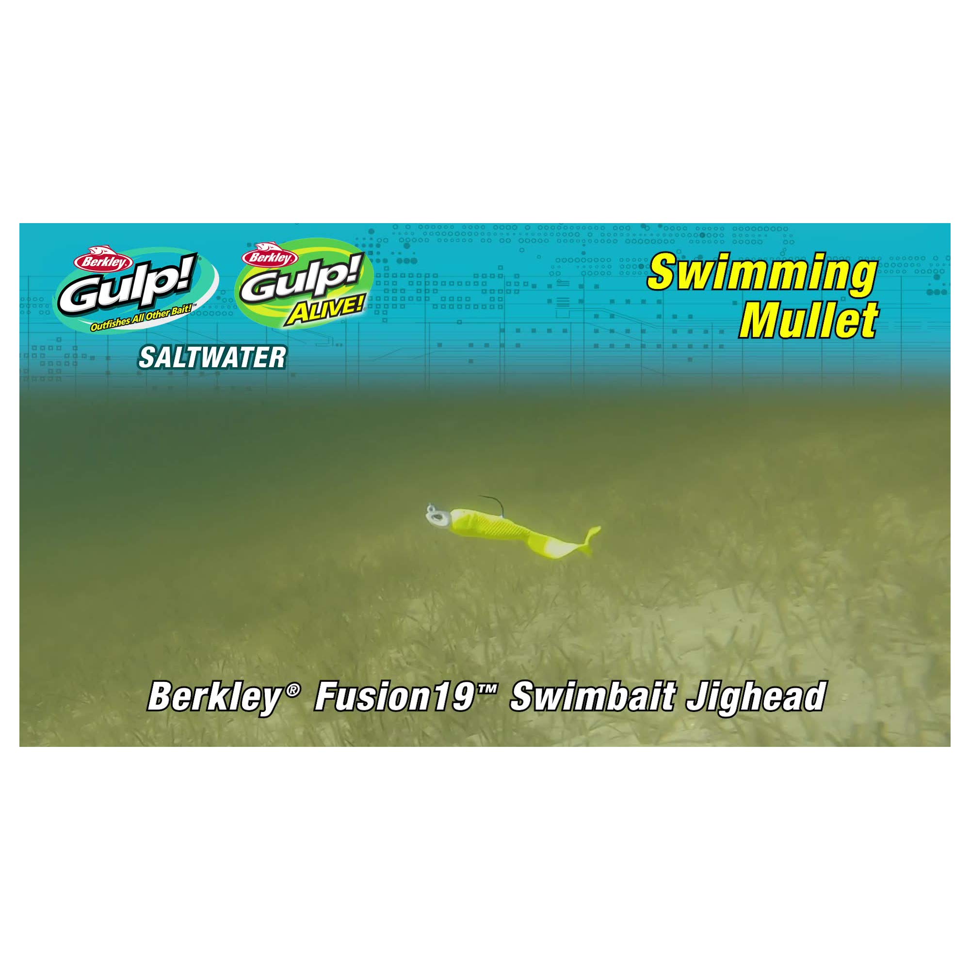 Berkley Gulp! Alive! Swimming Mullet Soft Fishing Bait, Pearl White/Chartreuse, 3in - Half Pint 4x7