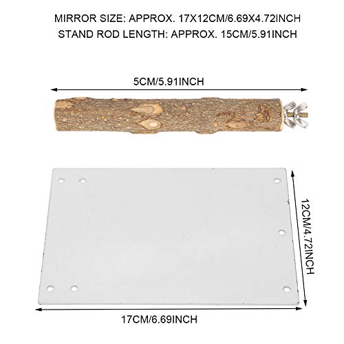 Bird Mirror, Stainless Steel Medium Small Parrots Mirror Bird Mirror Toy with Wooden Standing Rod for Parrot Parakeet Cockatiels