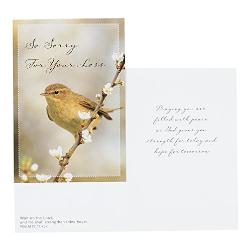 DaySpring - Sympathy - Comforting Thoughts - 12 Boxed Cards, KJV (60934),Multi
