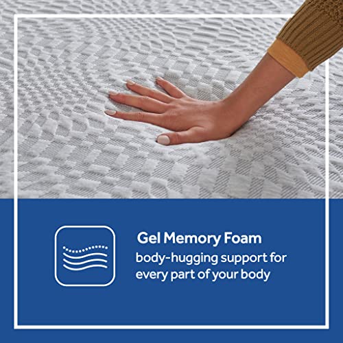 Sealy Essentials 12" Hybrid Bed in a Box, Queen