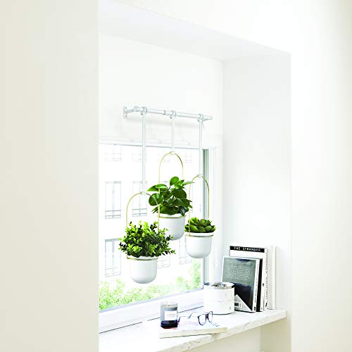 Umbra 1011748-524 Triflora Hanging Planters for Indoor Plants or Herbs, White/Brass,42" Width
