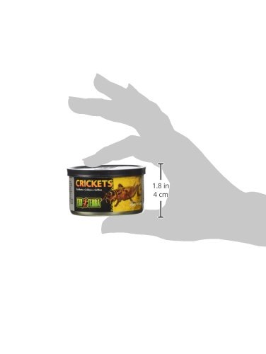 Exo Terra Specialty Reptile Food, Canned Crickets for Reptiles, PT1960