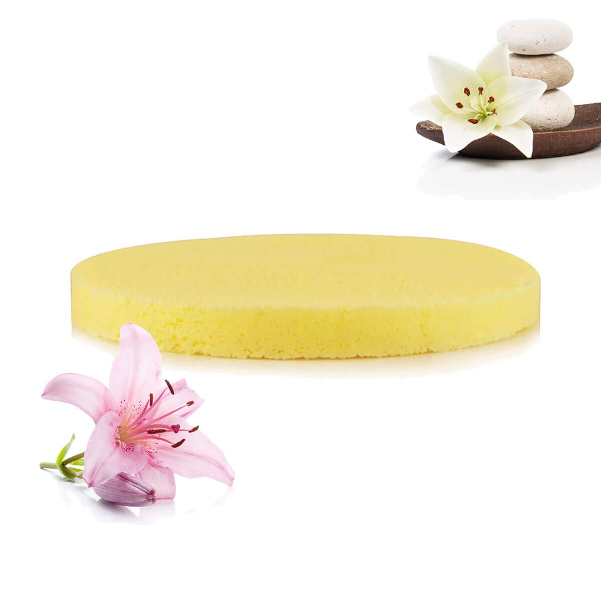 Facial Sponges - 240 Count - APPEARUS PVA Compressed Face Sponge for Face Wash Cleansing, Exfoliating, Mask, Makeup Removal