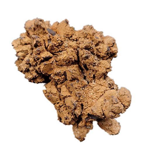 SUNNYHILL Coprolite Authentic Prehistoric Natural Fossilized Mineral Dung Stone Specimen Length 2-4" Weight 0.4 LB