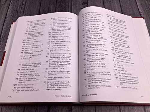 Basics of Biblical Hebrew Grammar: Third Edition (Zondervan Language Basics Series)