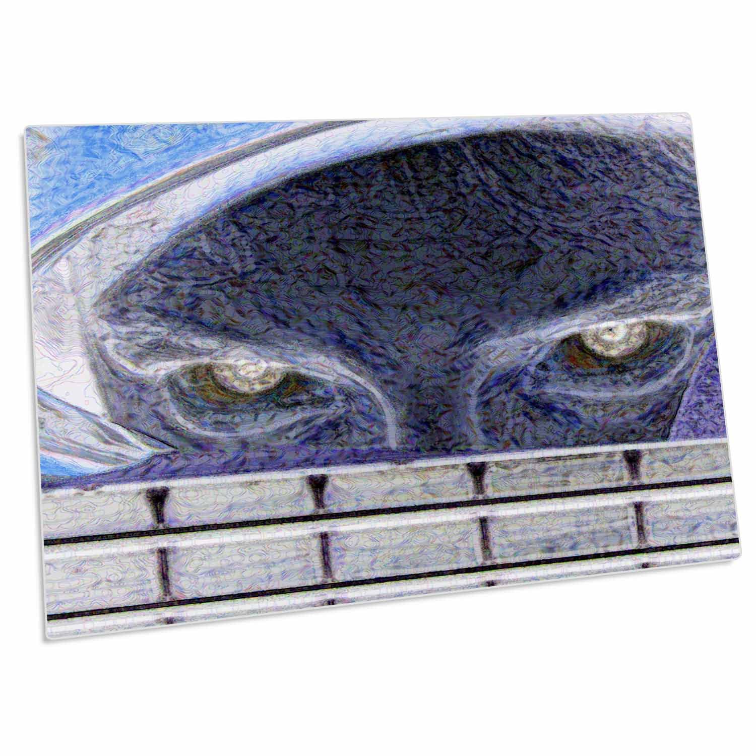 3dRose Eyes Behind bass Sparkle Blue - Desk Pad Place Mats (dpd-184723-1)