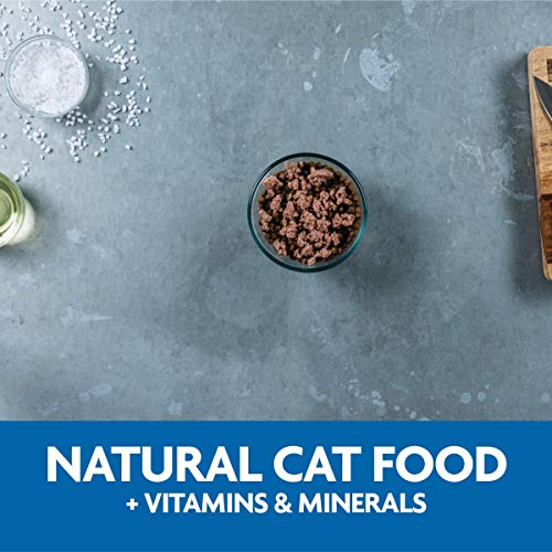 Evolve Classic Crafted Meals Chicken Recipe Cat Food (Pack of 15)