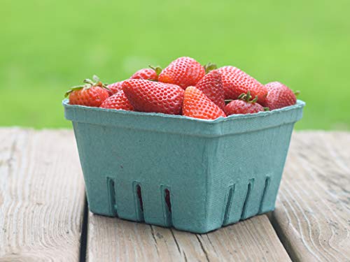 JA Kitchens QUART Green Molded Pulp Fiber Berry/Produce Vented Basket (20 Pieces)